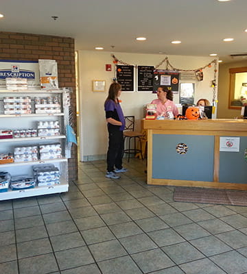 Veterinarians in Naperville, IL | VCA Boulder Terrace Animal Hospital