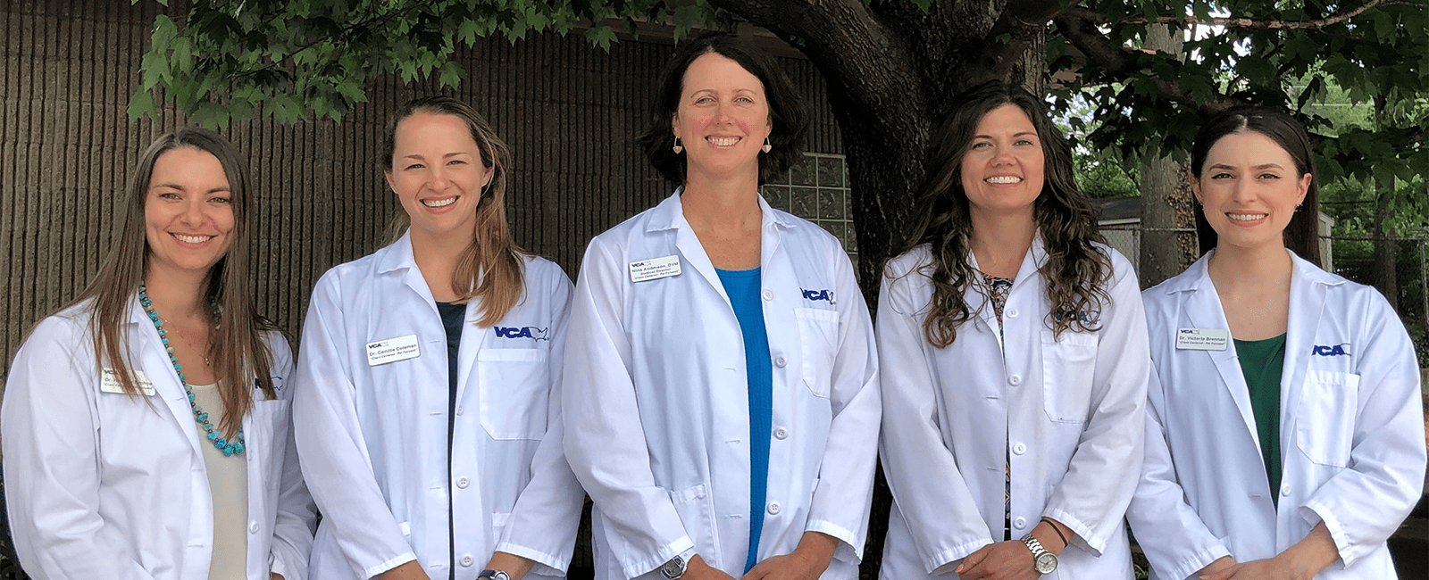 Veterinarians in Atlanta, GA | VCA Buckhead Animal Hospital