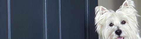 Our Hospital | VCA Cabrera Animal Hospital