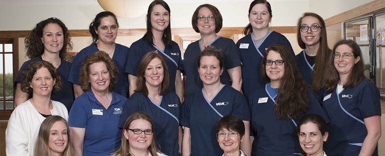 Veterinarians in Rochester, MN | VCA Cascade Animal Medical Center & Inn