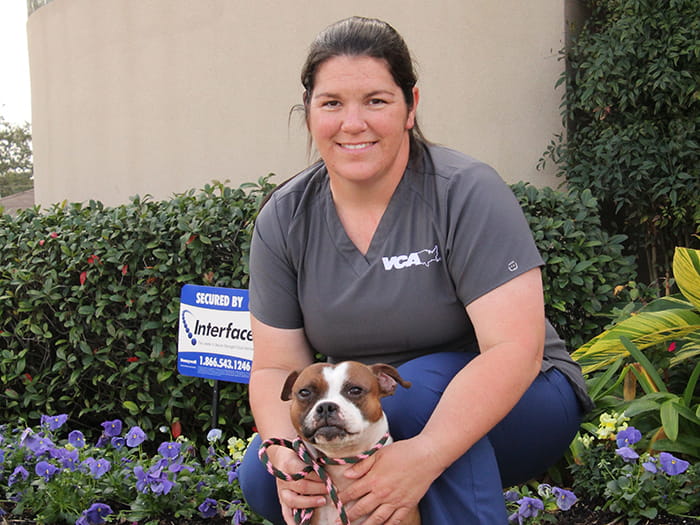 VCA Causeway Animal Hospital | Staff Page