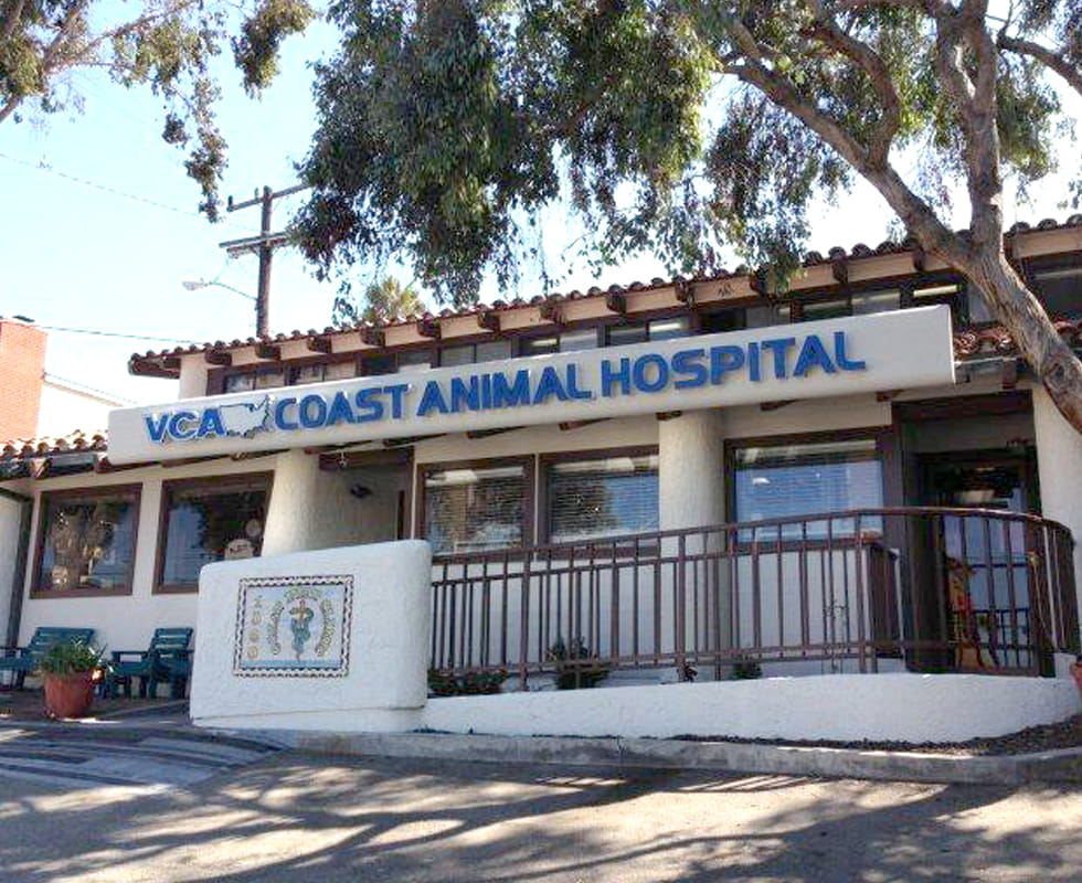 Our Hospital | VCA Coast Animal Hospital