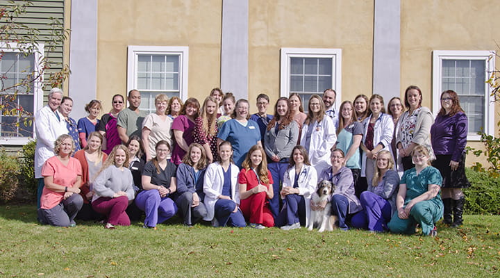 Veterinarians in Ithaca, NY | VCA Colonial Animal Hospital