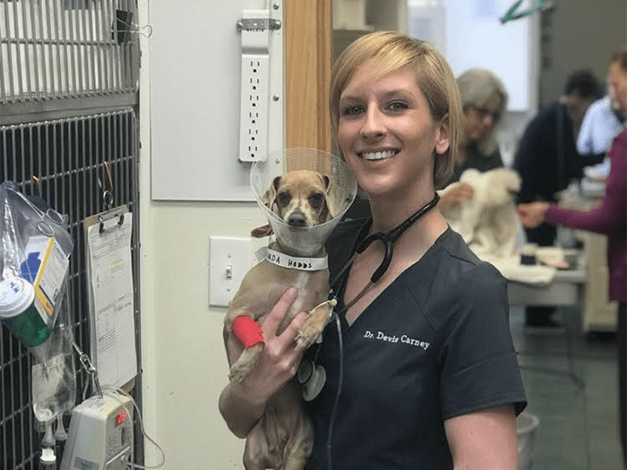 Devin Carney | VCA Cottonwood Animal Hospital