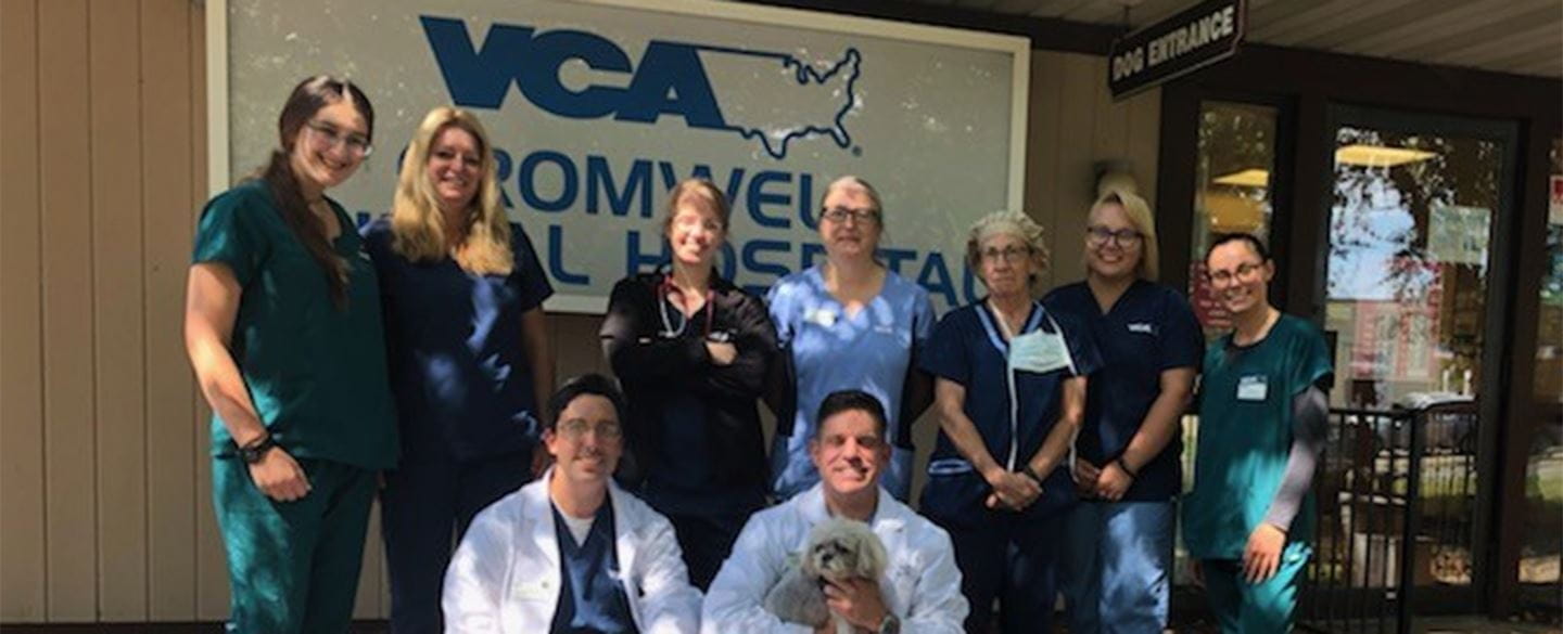Veterinarians in Cromwell, CT | VCA Cromwell Animal Hospital