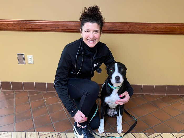 Michelle Falzone | VCA Dunmore Animal Hospital