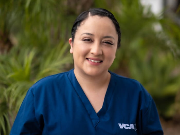 Daniella Z. | VCA Eye Clinic for Animals