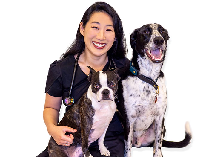 Jessica Sun | VCA Family and Oahu Veterinary Specialty Center
