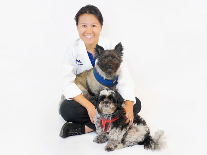 Our Expertise | Departments | VCA Family and Oahu Veterinary Specialty ...