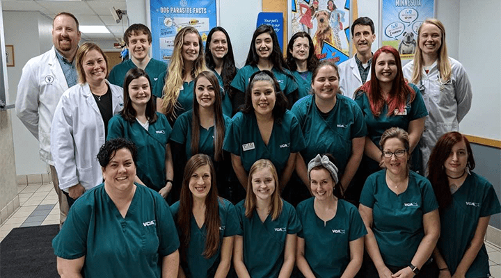 Veterinarians in St. Paul, MN | VCA Feist Animal Hospital