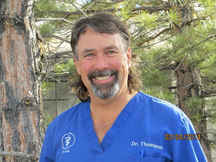 Dr. Scott Thompson | VCA Feline Medical Center