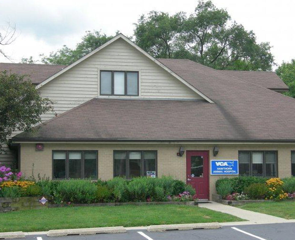 Our Hospital | VCA Hawthorn Animal Hospital