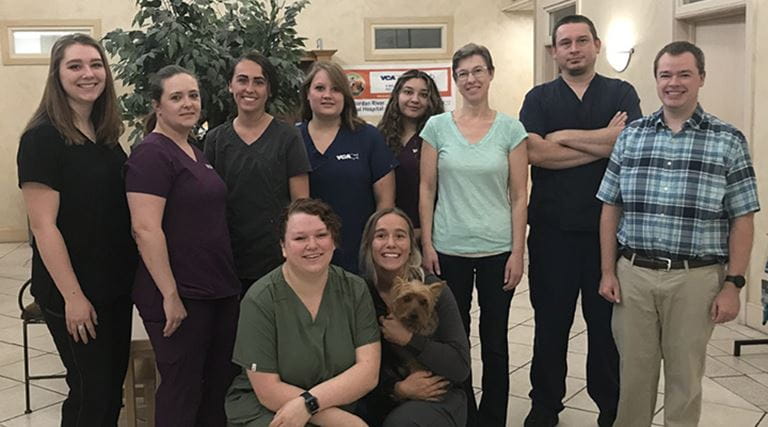 Veterinarians in West Jordan, UT | VCA Jordan River Animal Hospital