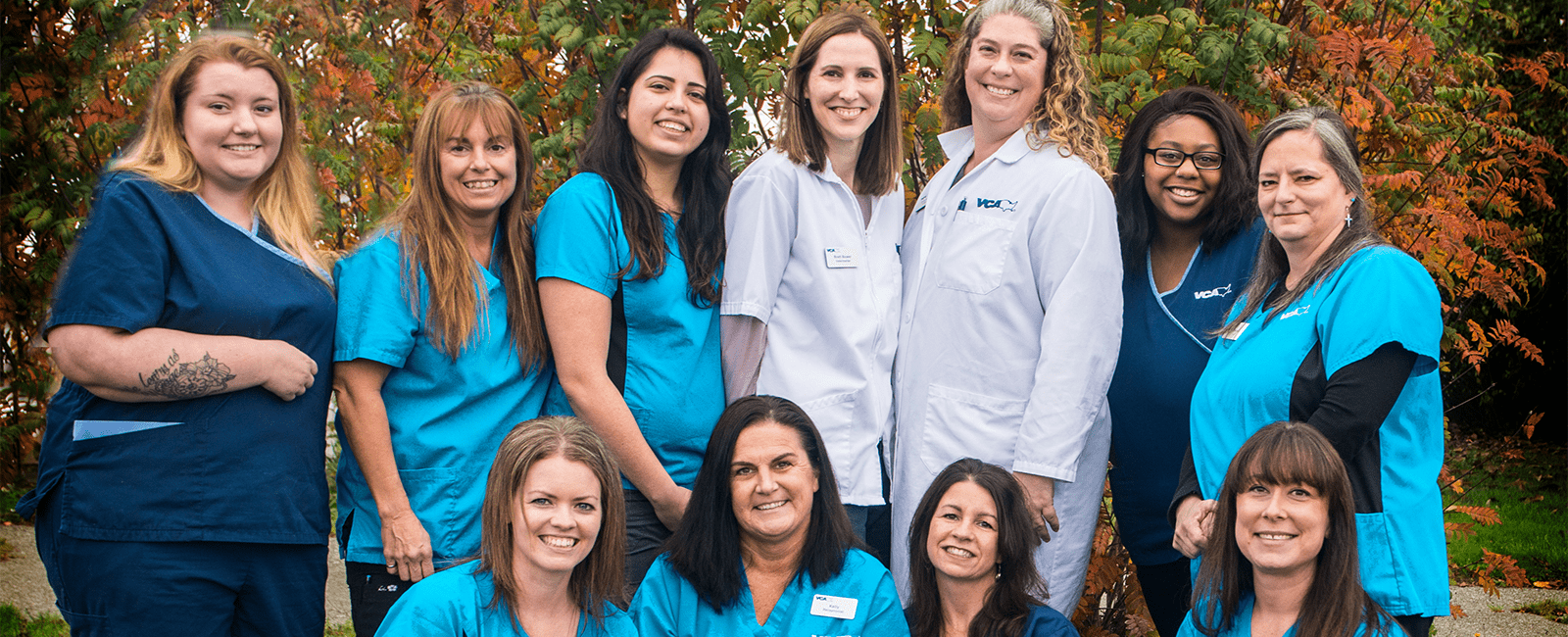 Veterinarians in Lacey, WA | VCA Lacey Animal Hospital