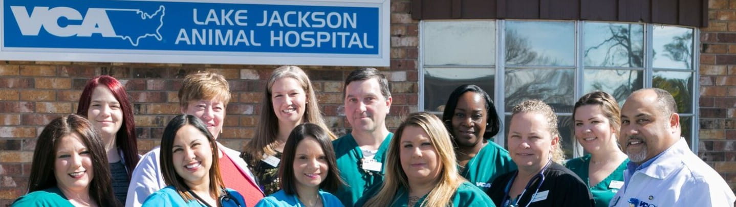 VCA Lake Jackson Animal Hospital | Staff Page