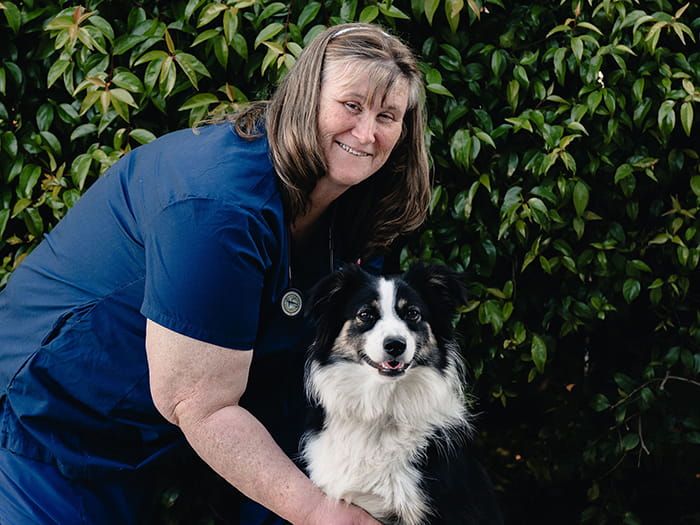Dr. Rachel Mason | VCA Los Banos Animal Hospital