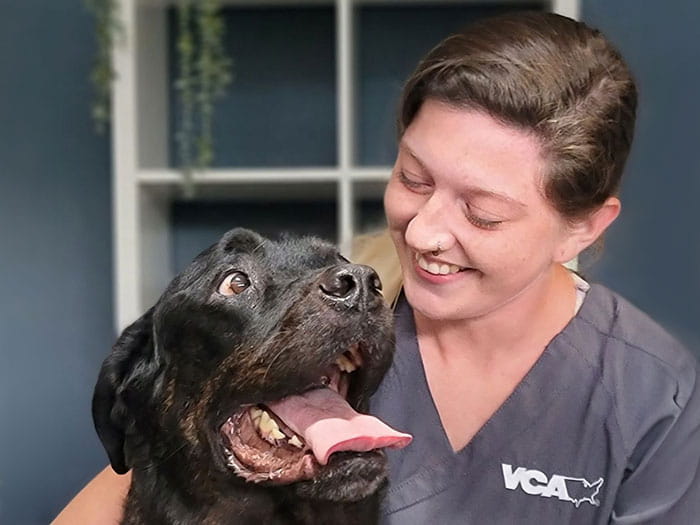 Cait P. | VCA Met Vet West Animal Hospital