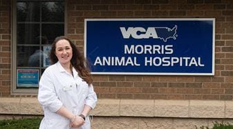 Veterinarians in Lancaster, OH | VCA Morris Animal Hospital
