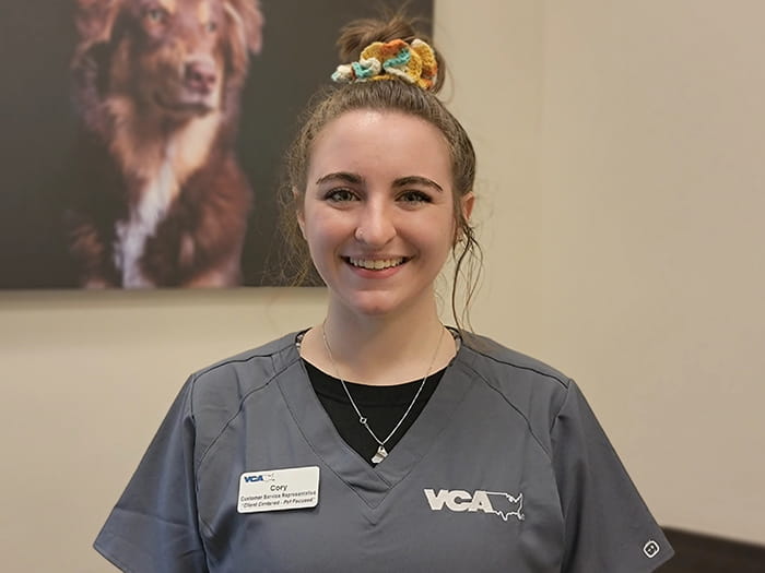 VCA Old Marple Animal Hospital | Staff Page - Primary
