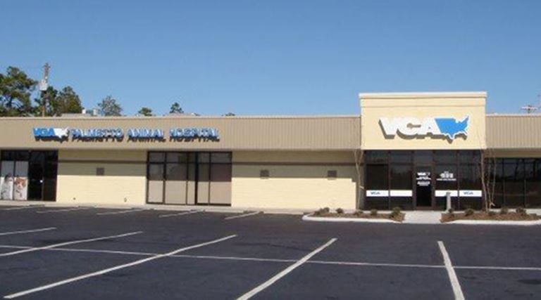 Veterinarians in Myrtle Beach, SC | VCA Palmetto Animal Hospital