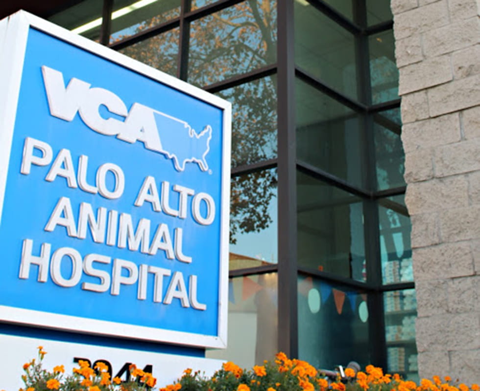 Our Hospital | VCA Palo Alto Animal Hospital