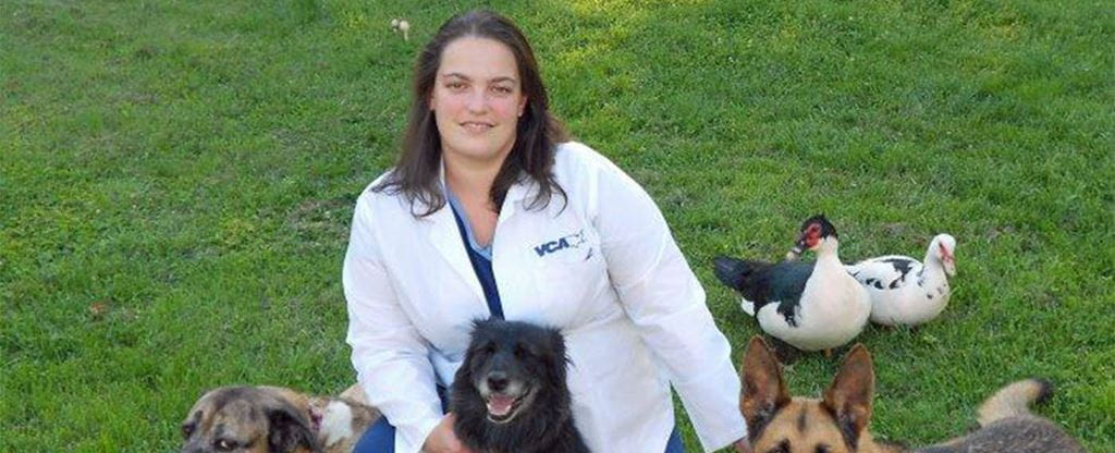 Veterinarians in Richmond, VA | VCA Pets First Animal Hospital