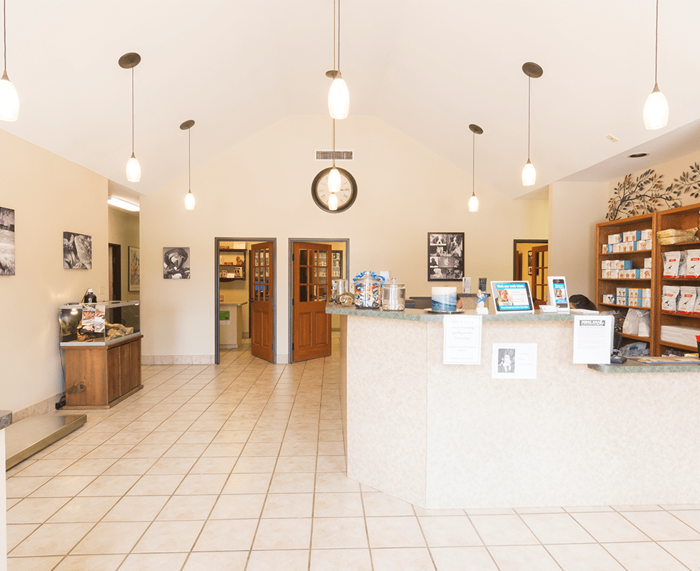 Our Hospital | VCA Ridge Road Animal Hospital