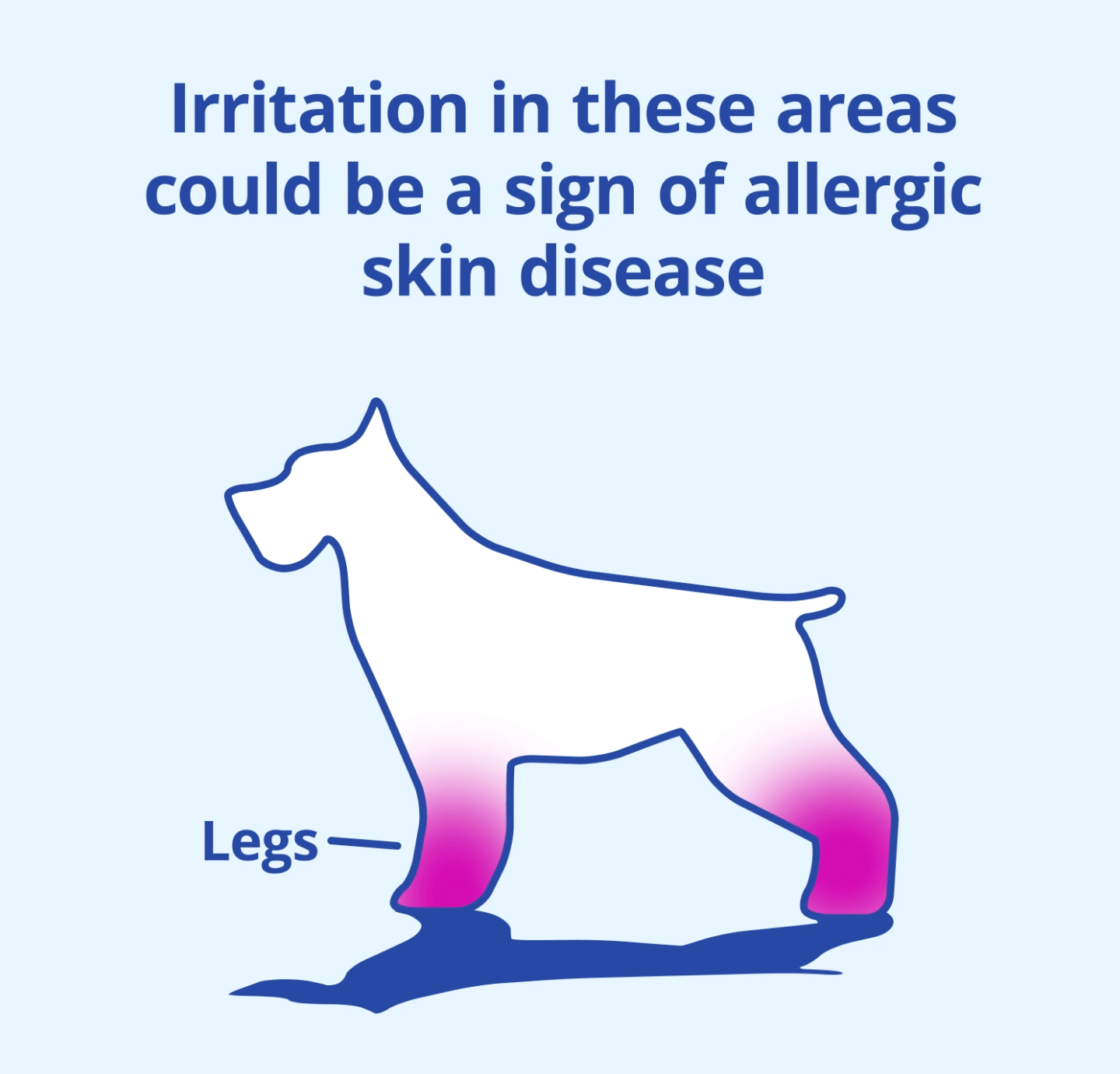 Flea allergy dermatitis: A common problem with a simple solution
