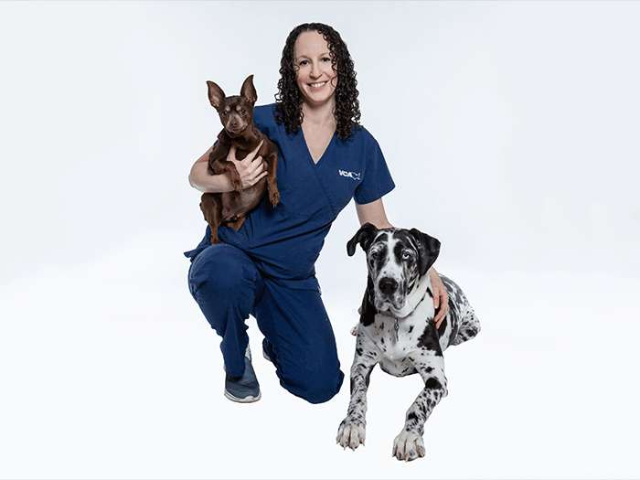VCA Shoreline Veterinary Referral and Emergency Center | Staff Page