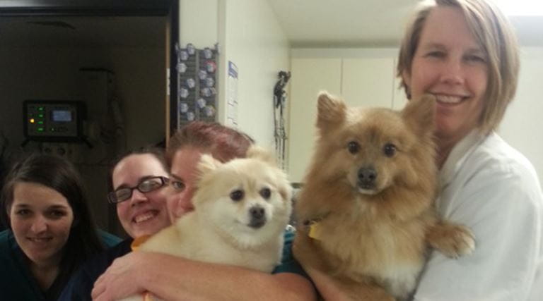 Veterinarians in Portland, OR | VCA Southeast Portland Animal Hospital