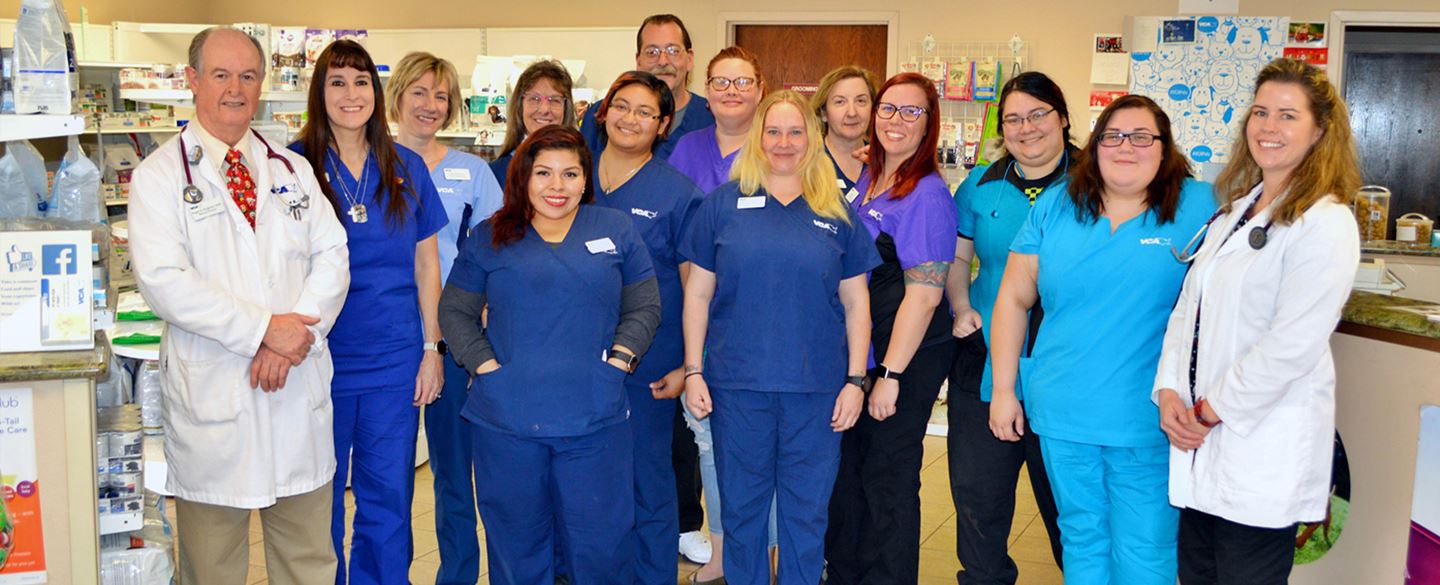 Veterinarians in Las Vegas, NV | VCA Spring Mountain Animal Hospital