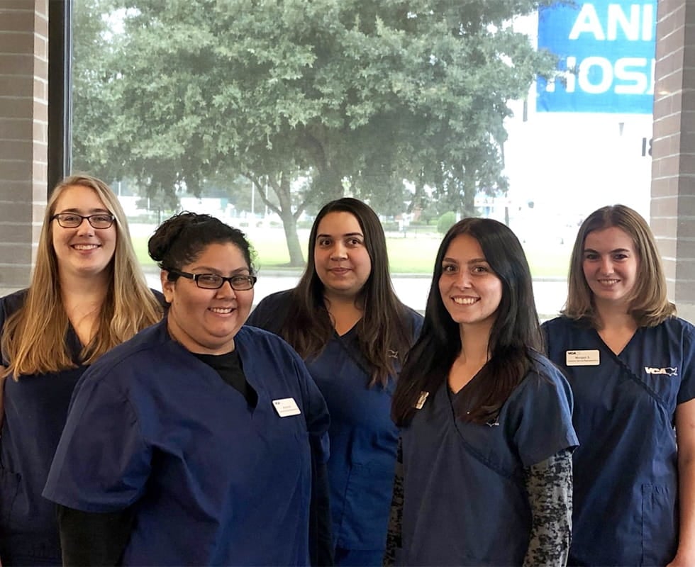 Contact Us | VCA Spring Animal Hospital