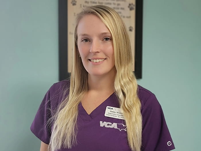 Haley | VCA Three Notch Animal Hospital