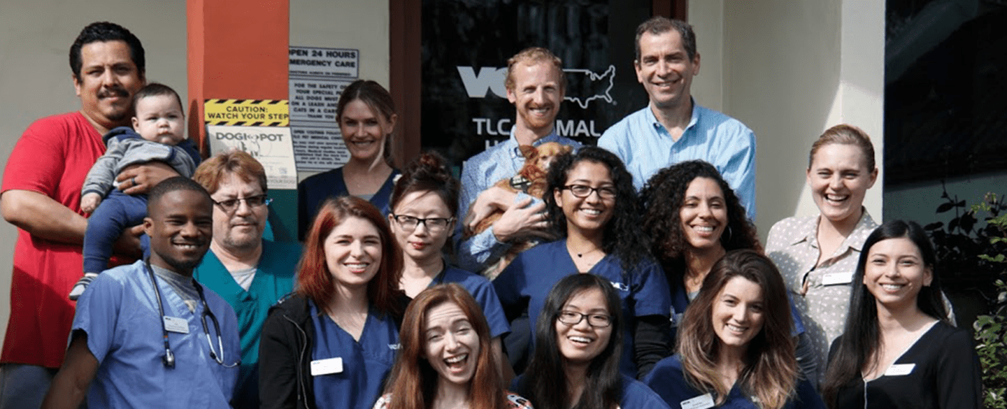 Veterinarians in West Hollywood, CA | VCA TLC Animal Hospital