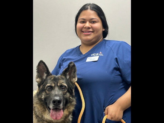 Leslie L. | VCA University Animal Hospital