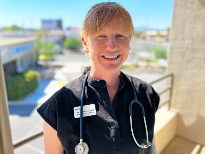 Jackie Perino | VCA Valley Animal Hospital and Emergency Center