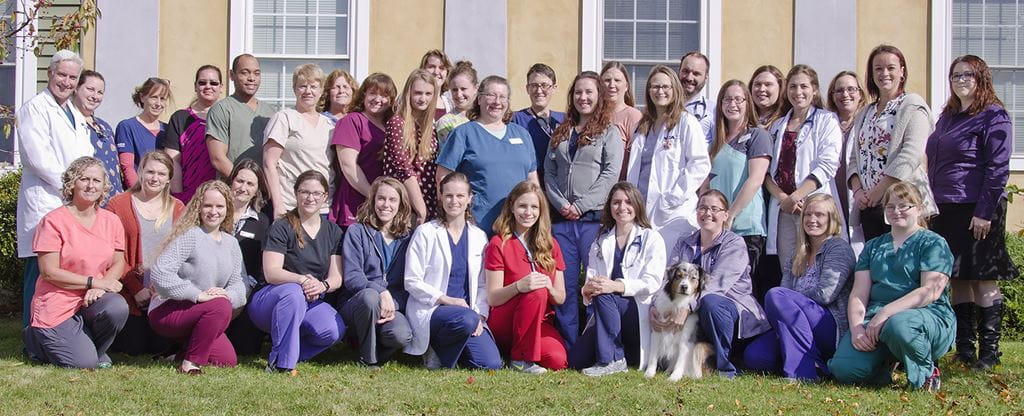 Veterinarians in West Hartford, CT | VCA Veterinary Specialists of CT