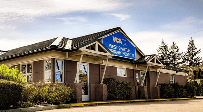 Veterinarians in Seattle, WA | VCA West Seattle Veterinary Hospital