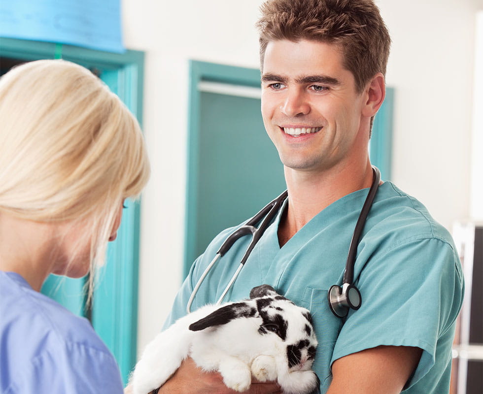 VCA Westside Animal Hospital | Staff Page
